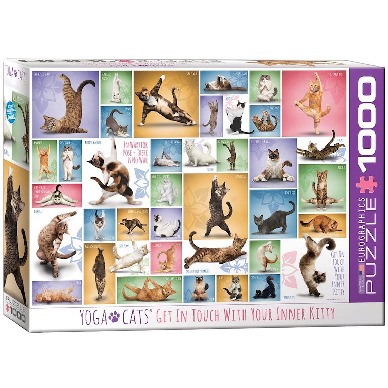 Eurographics Yoga Cats 1000-Pieces Puzzle 6000-0953