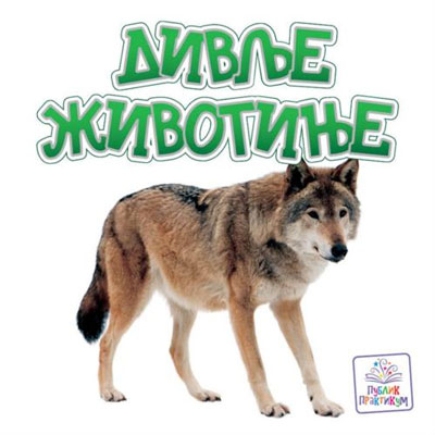 Kućni ljubimci – Kartonska fotografija