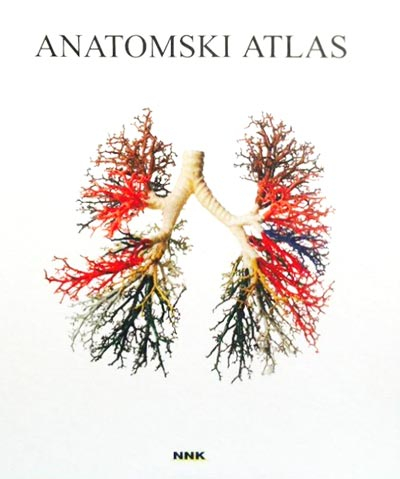 Anatomski atlas: za studente medicine i stomatologije