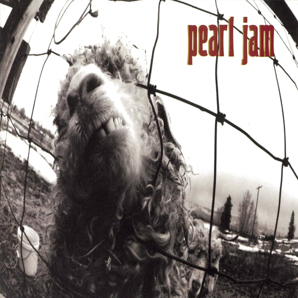 LP – Pearl Jam – Vs.