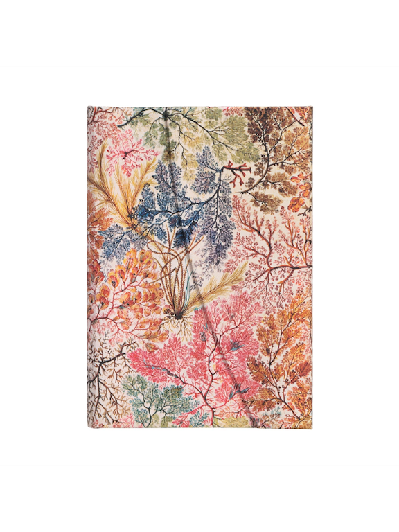 Notes – Anemone Mini Linije