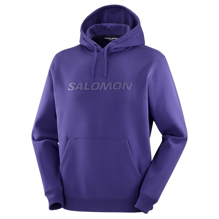 Salomon Salomon Big Logo Hoodie duks