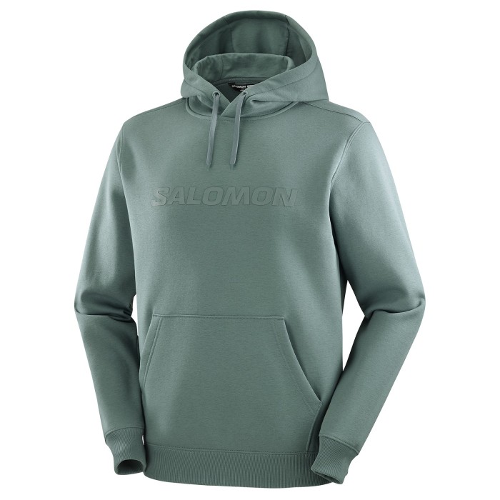 Salomon Salomon Big Logo Hoodie duks