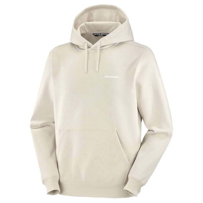 Salomon Salomon Logo Hoodie duks