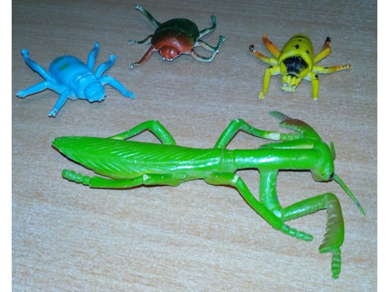 Insekti