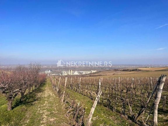 Novo u Ponudi! Na prodaju vinograd u Beočinu!