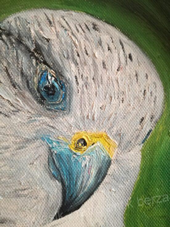 Falcon of S. A. Slava Markani oil on canvas,