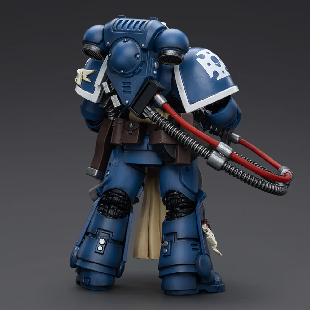 Ultramarines Sternguard Veteran with Heavy Bolter