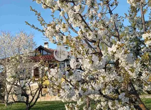 Prodaja Kuća - Mladenovac, Koraćica