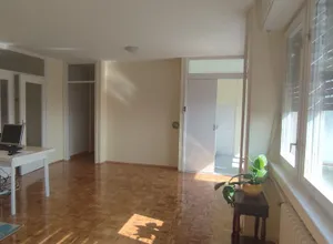 Prodaja Stan - Novi Sad, Socijalno - Rotkvarija