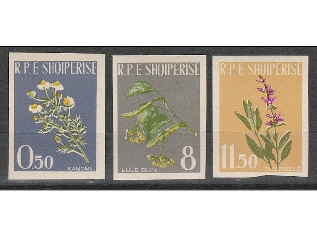 Albanija, Albania - 1962 - Medicinal Plants - MNH