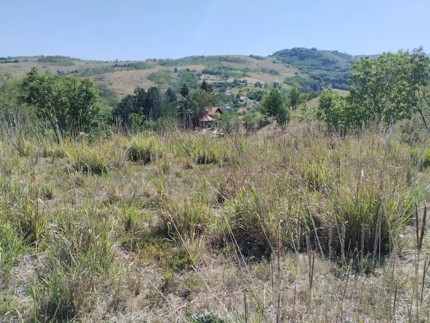 Izmedju Rakovca i Beočina, Beočin