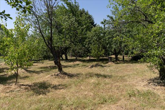 Fruška Gora-Manastir Krušedol-vikend zona 11,5 ari