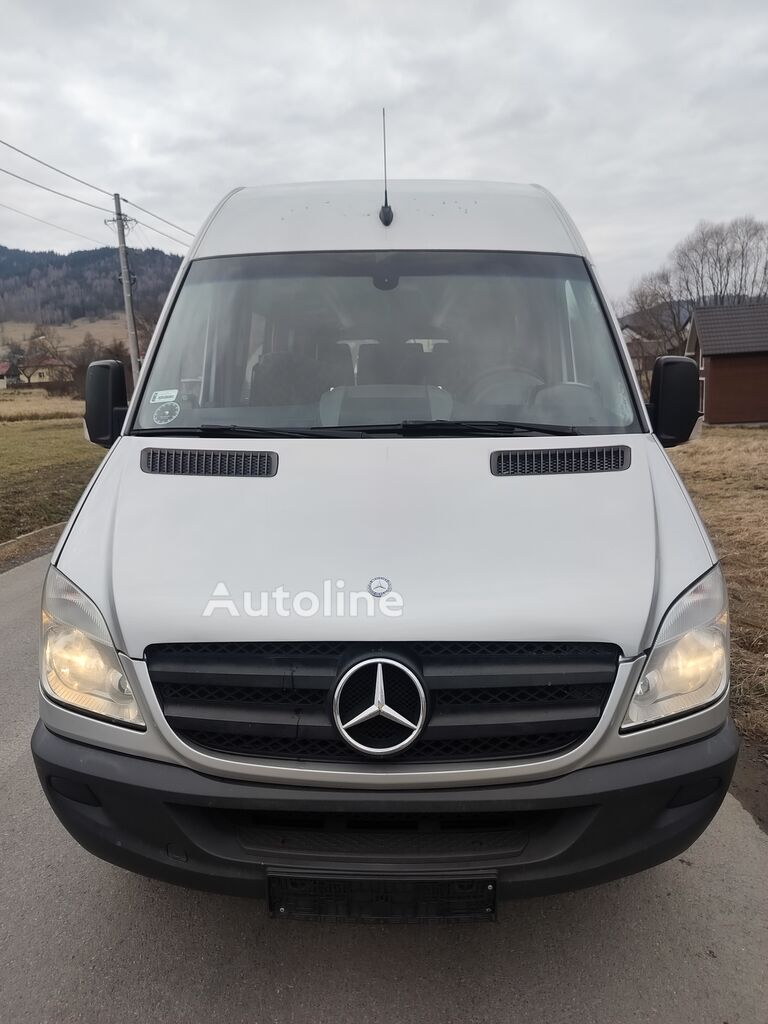 Mercedes-Benz Sprinter 515 transfer 45 putnički minibus