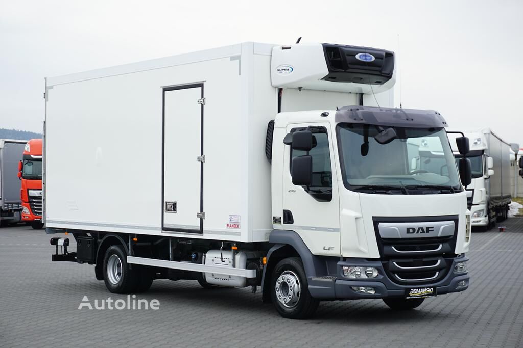 DAF LF / 210 / EURO 6 / CHŁODNIA + WINDA / 14 PALET kamion hladnjača