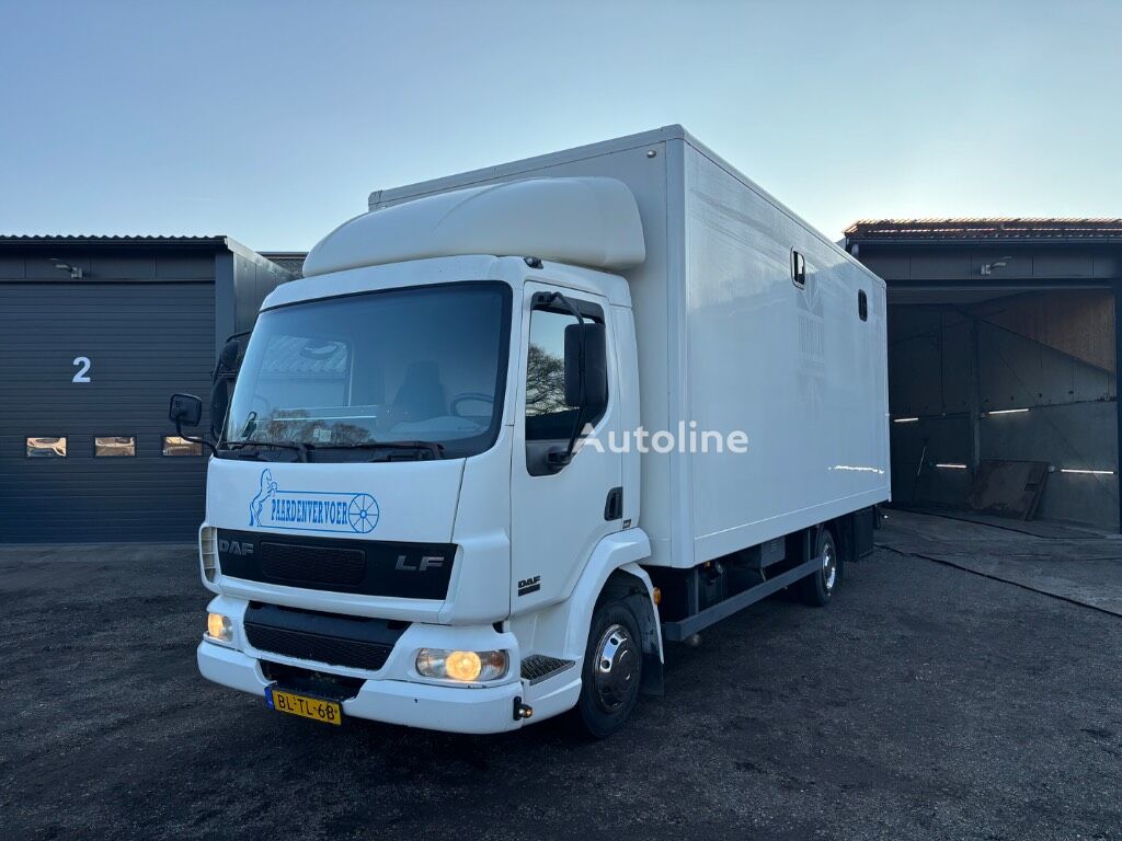 DAF LF 45.150 4 paards, laadlift. Horsetruck NL truck kamion za prevoz stoke