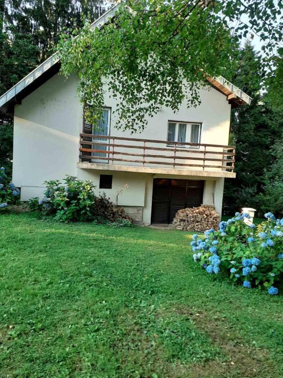 prevoz od/do aerodroma
Holiday Home Vladanka-Planinska kuća Vladanka