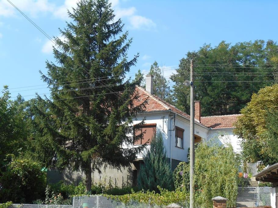 Villa Ljubica