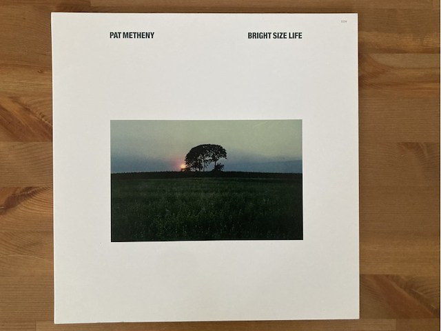 PAT METHENY - BRIGHT SIZE LIFE