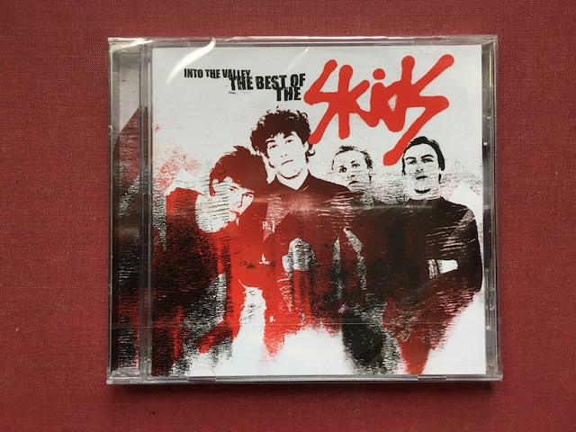 Skids - iNTo THE VALLEY  The Best oF The SKiDS 2004