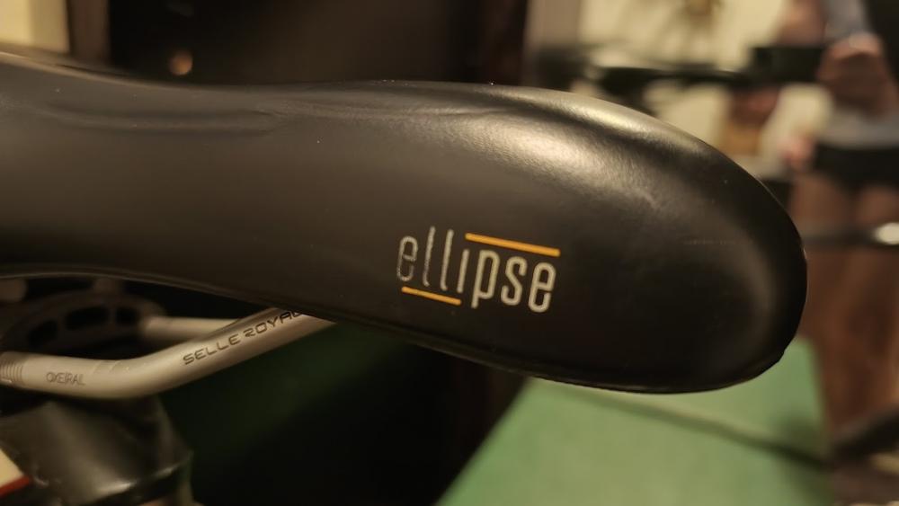 Selle Royall Ellipse Athletic