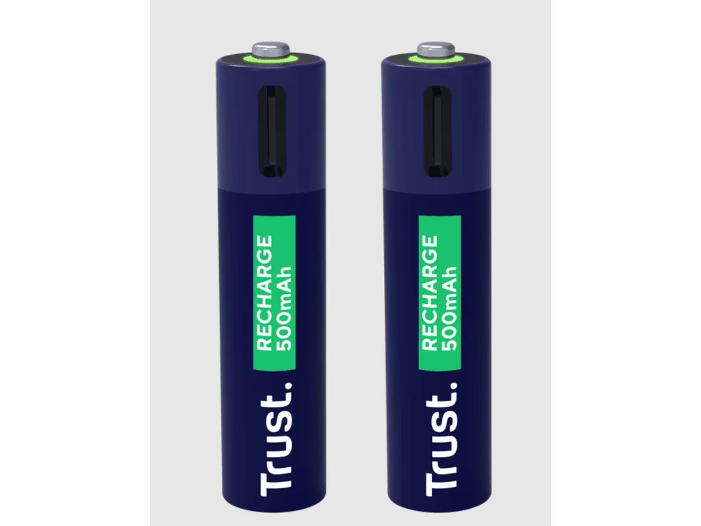 Trust Punjive baterija TRUST USB-C 2P - AAA/2 kom/ crna