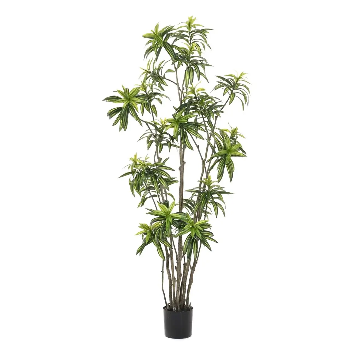 Veštačko drvo Dracaena 210 cm