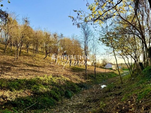 Okolno mesto, Vrdnik, Zemljište, 4677ari, 159000 EUR