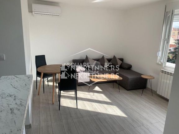 Kneza Miloša, 2.0 renoviran, pet friendly ID#3818