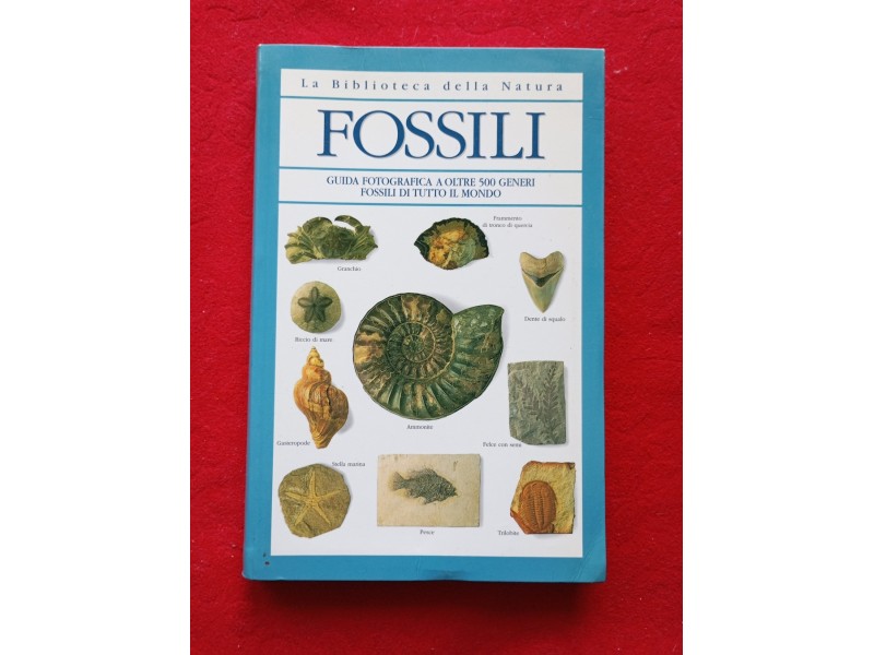 Fossili - Ciril V. David W.