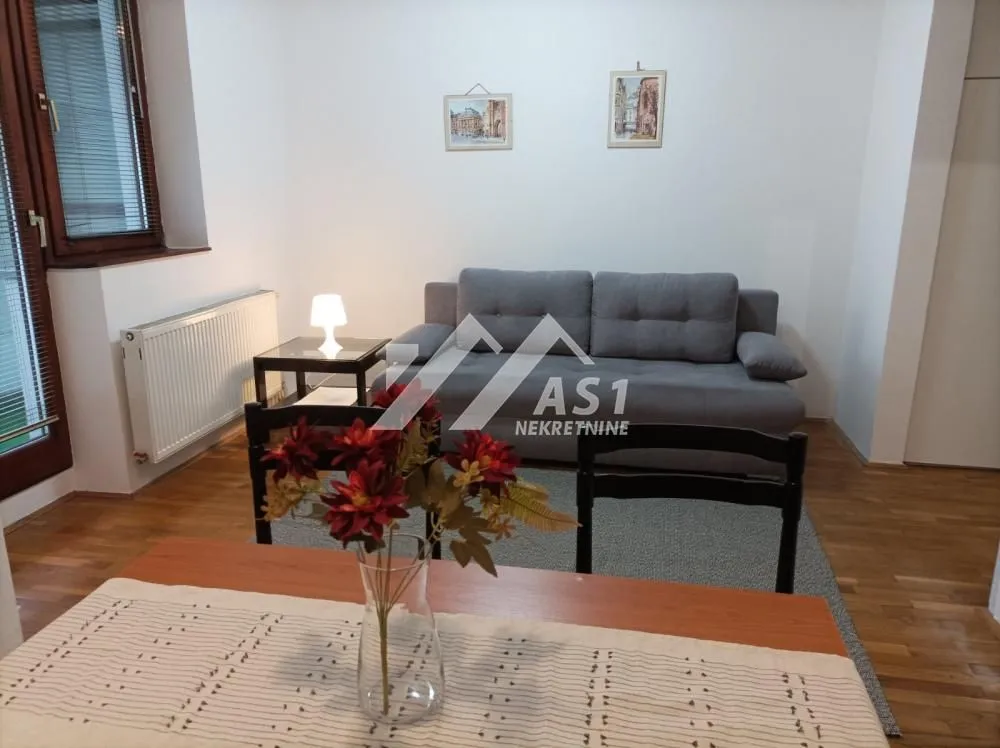 Izdavanje, jednosoban stan, 30m2, Bulevar Oslobodjenja, Novi Sad, Novi Sad