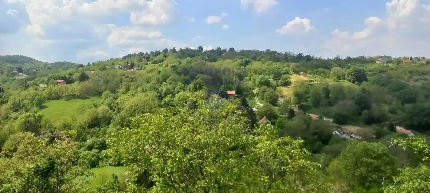 Popovica, Sremska Kamenica