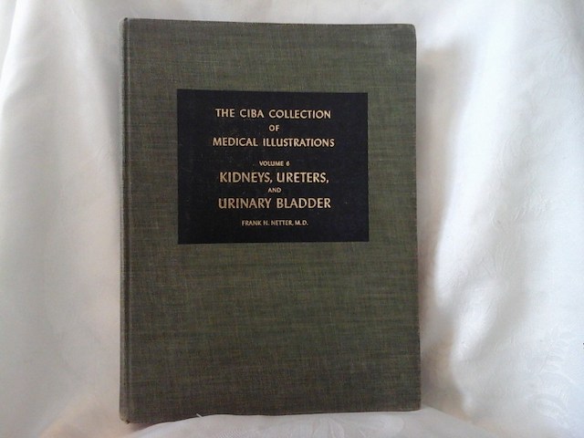 Urinary bladder kidneys ureters urologija urinarni