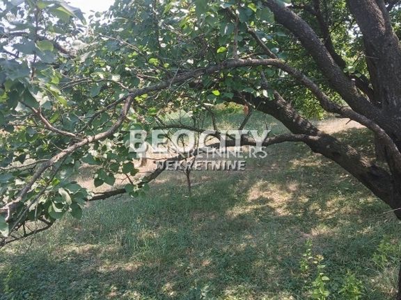 Beočin, Dumbovo, , 13a, 42000EUR