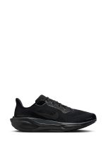 Air zoom pegasus 41