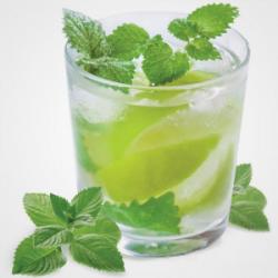 MOJITO NANA (MENTHA PIPERITA) - 100 SEMENA