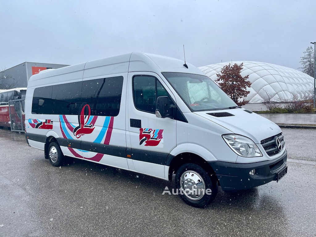 Mercedes-Benz Sprinter 516 CDI Handicap-Lift behinderteng. 519 putnički minibus