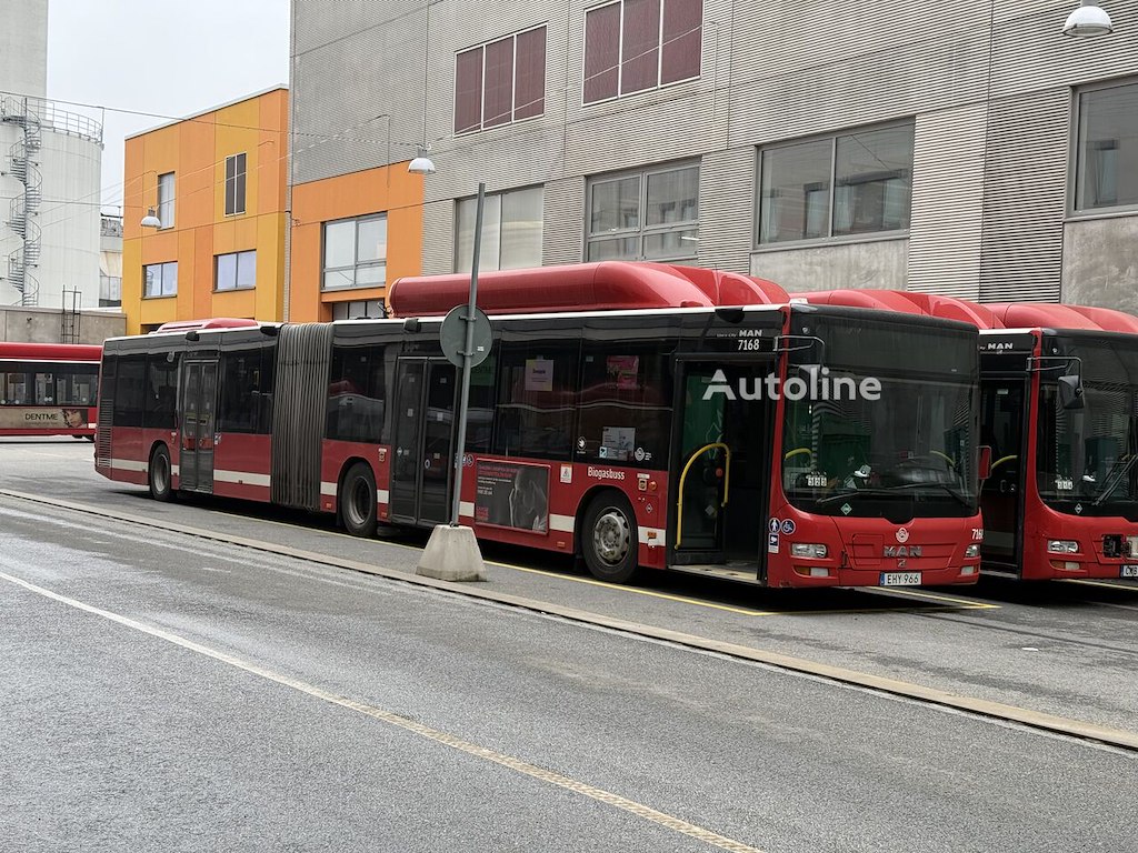 MAN A23 CNG EEV (2 BUSES) zglobni autobus