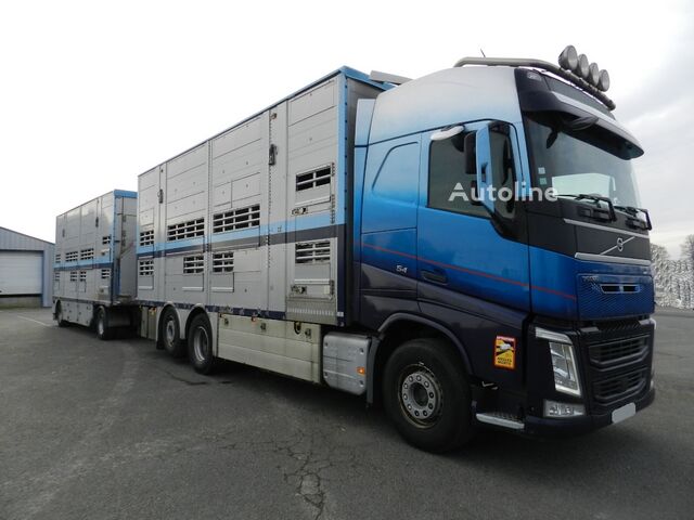 Volvo FH540 kamion za prevoz stoke + prikolica za prevoz stoke