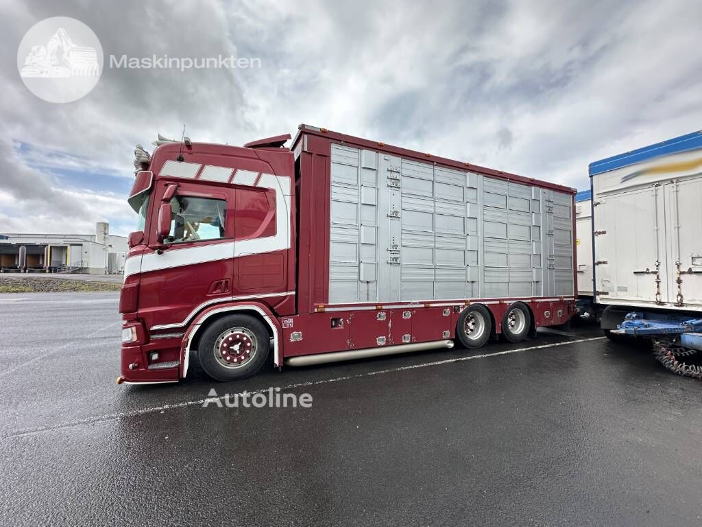 Scania R 580 Ekipage kamion za prevoz stoke