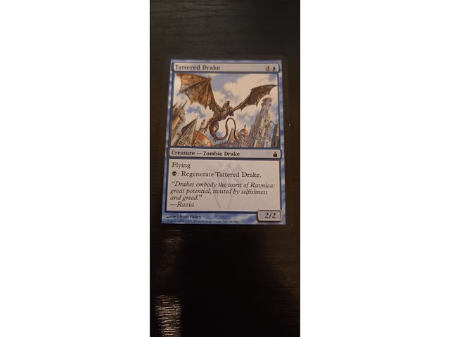 Magic The Gathering - Tattered Drake