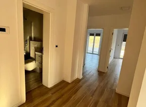 Prodaja Loft - Novi Sad