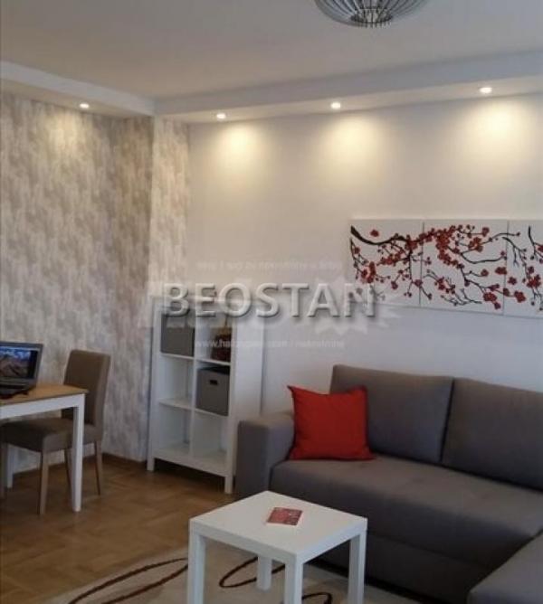 Bulevar Arsenija Čarnojevića, Dvosoban stan za izdavanje, 50m2, 690€