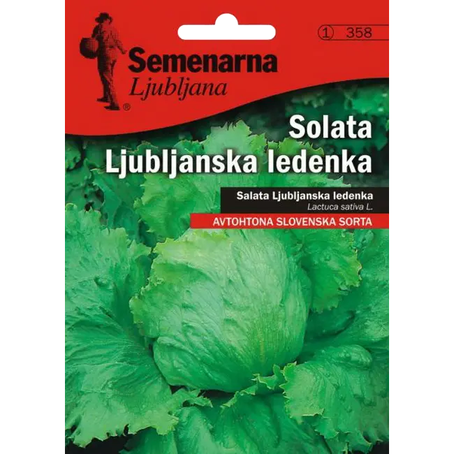 Salata ljubljanska ledenka 2 gr