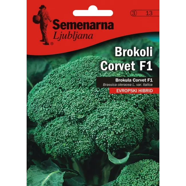 Brokoli corvet f1 0,9 gr