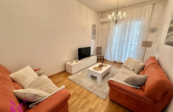 * Novi Sad - Bulevar Oslobođenja * pet friendly