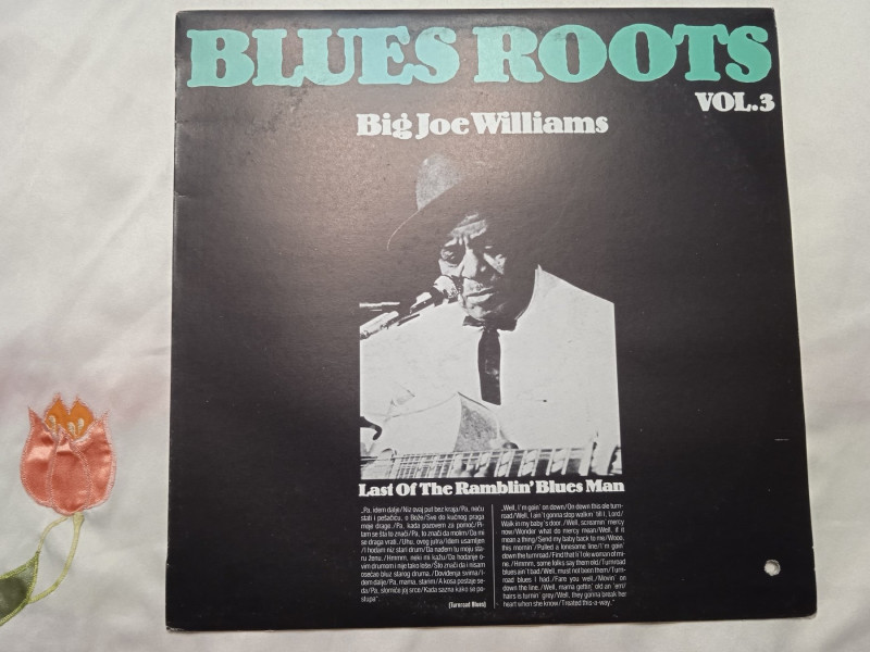 BLUES ROOTS vol.3++MINT++