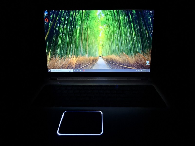 hp pavilion dv7 laptop