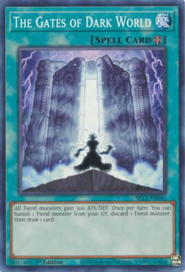 The Gates of Dark World - SR13-EN045 - Common 1st Edition