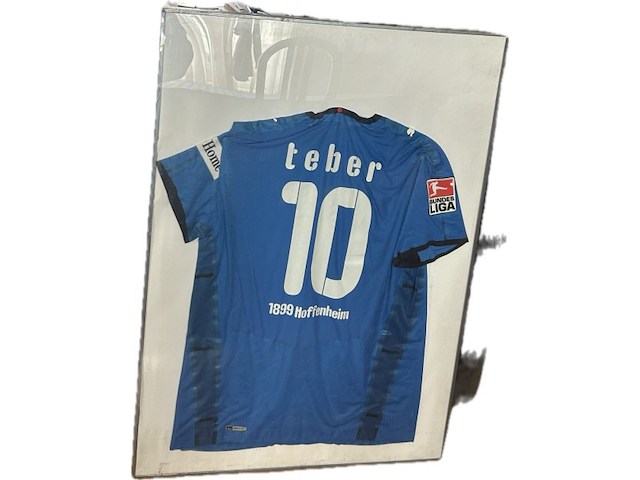 Selim Teber-Hoffenheim